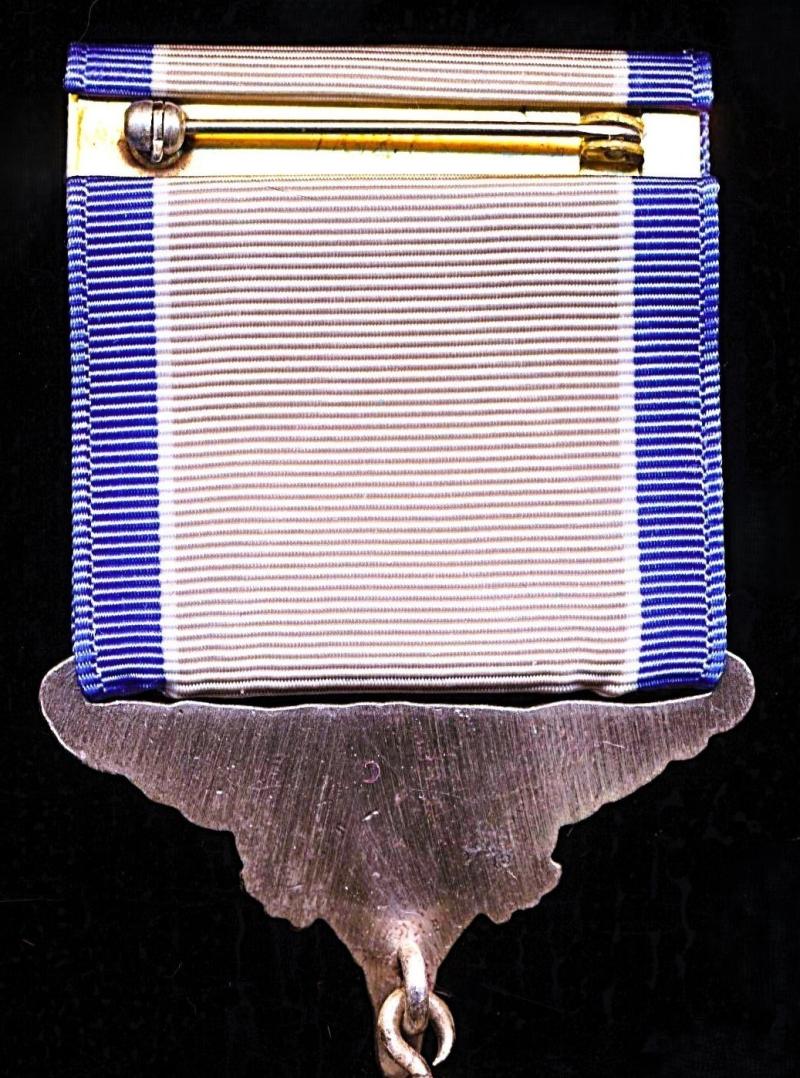 Aberdeen Medals | United States: Silver Life Saving Medal. This type ...